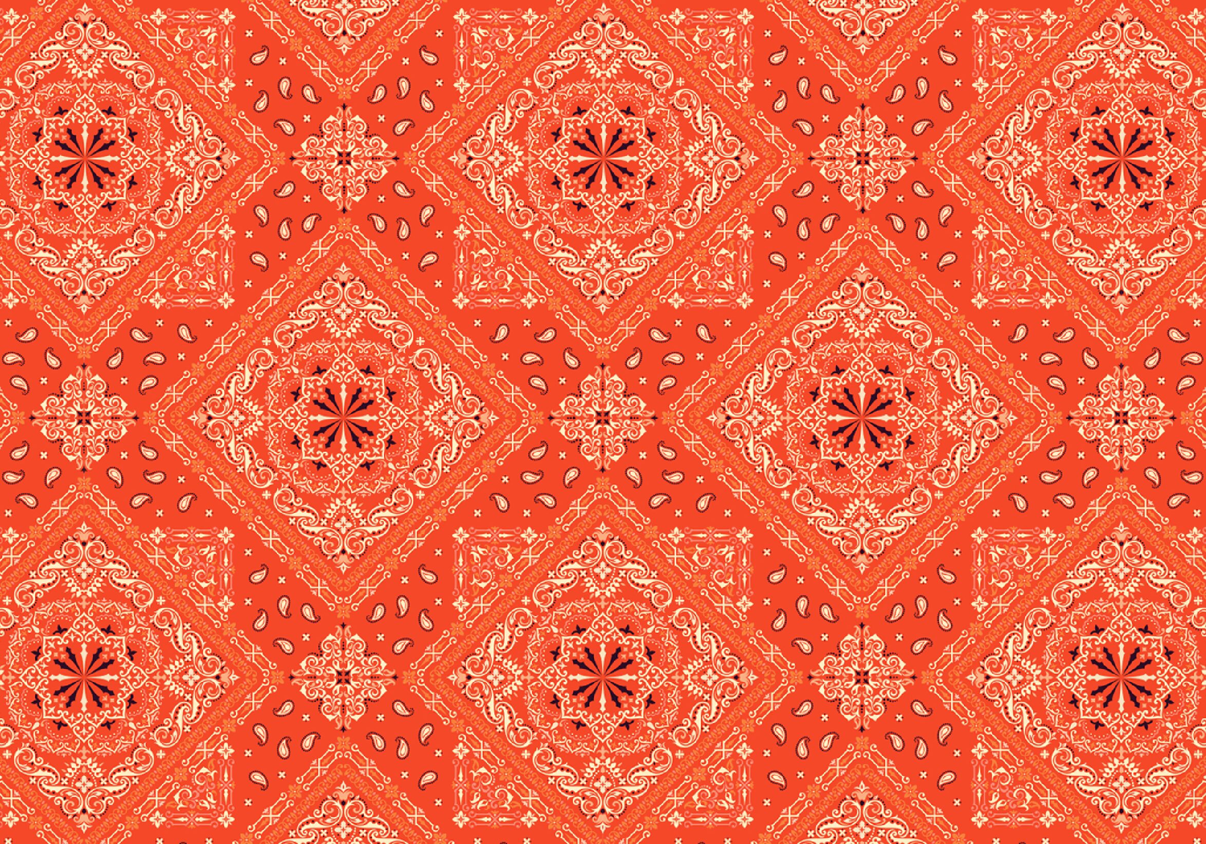 Bandana Laranja Mia Bandana Laranja Mia